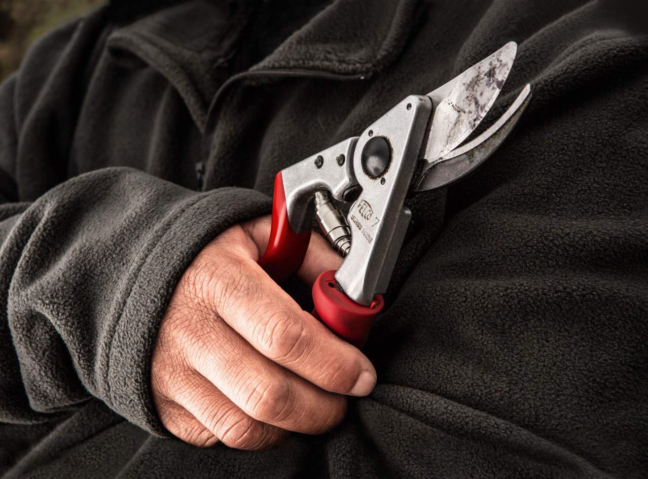 FELCO Model 7 Secateurs (Large, Rotating Handle) – BigaMart