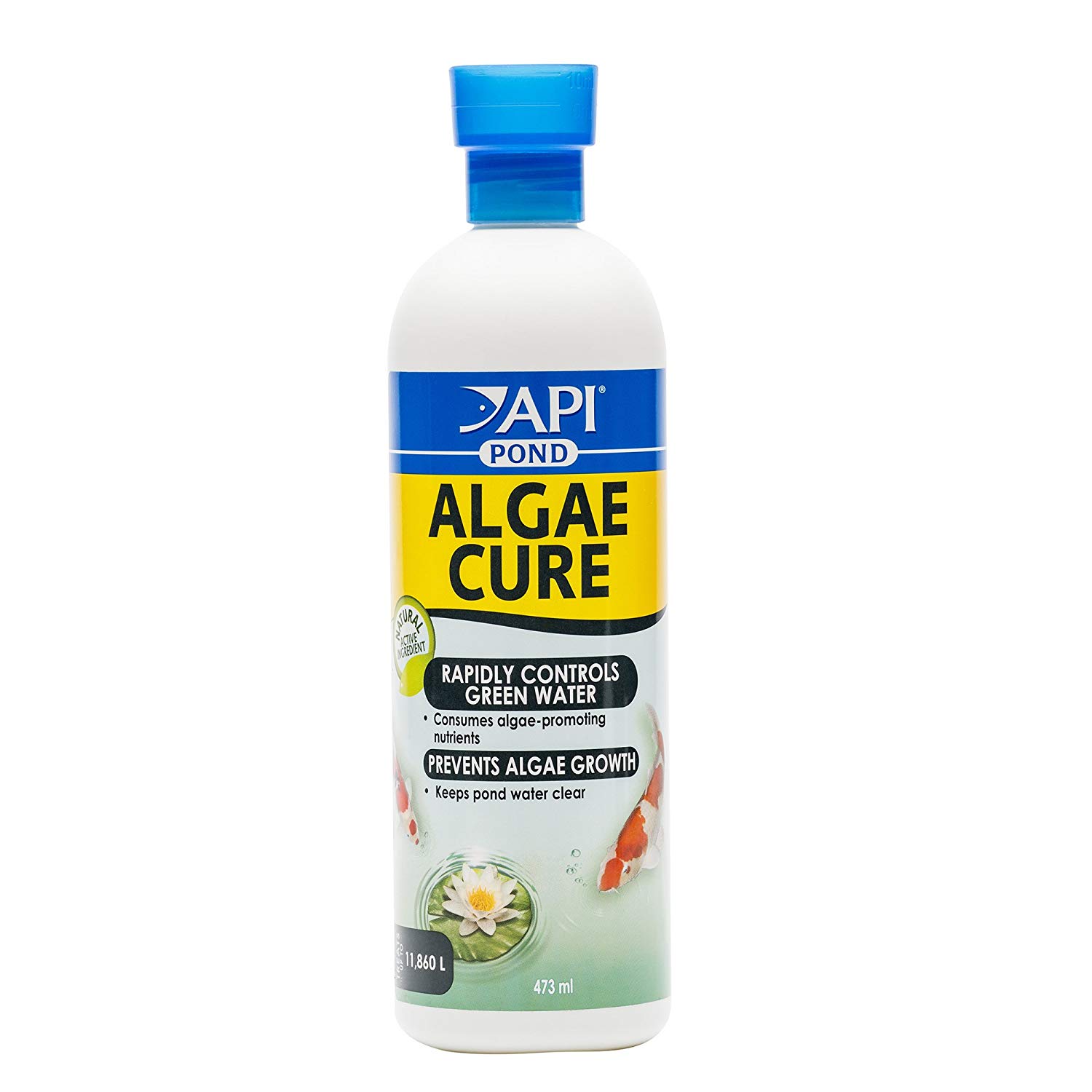 API POND ALGAE CURE Control Solution, Safe For Pets When Used As ...