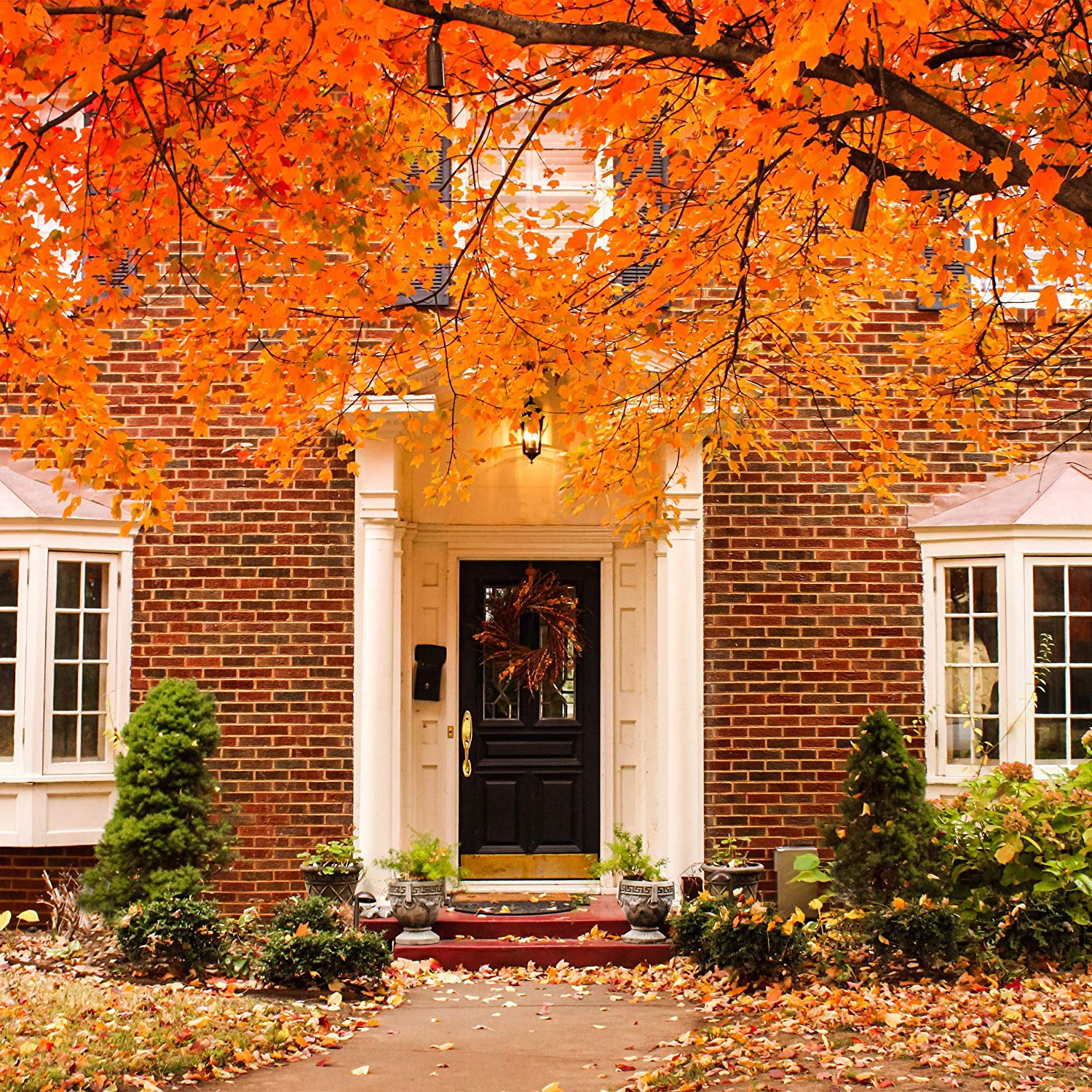 Relaxdays Unisex’s Roof Guard, 6 m Long, Plastic Eaves Protector, Leaf ...