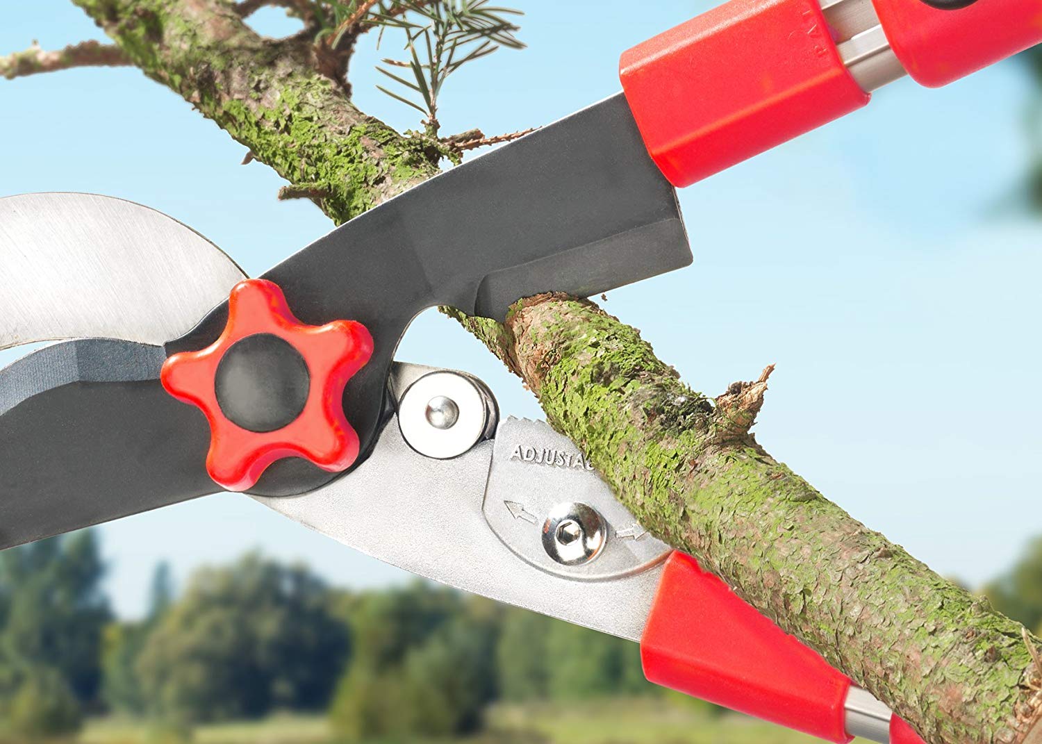 Connex FLOR70490 Combination Bypass/Anvil Tree Pruner – BigaMart