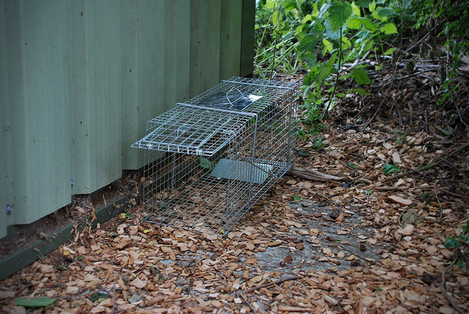 Defenders STV071 Animal Trap Cage (Easy to Set Humane Trap for Rabbits ...
