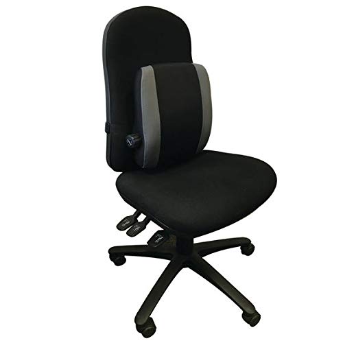 Contour Ergonomics Adjustable Premium Lumbar Back Support – Black/Grey ...