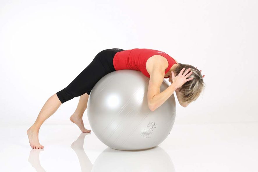 Togu Powerball Premium Abs Exercise Ball – BigaMart