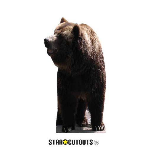 Star Cutouts Cut Out of Bear – BigaMart