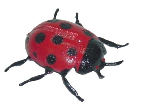 Miniland 50.27480 Insects 12 Figures, Multi-Color – BigaMart