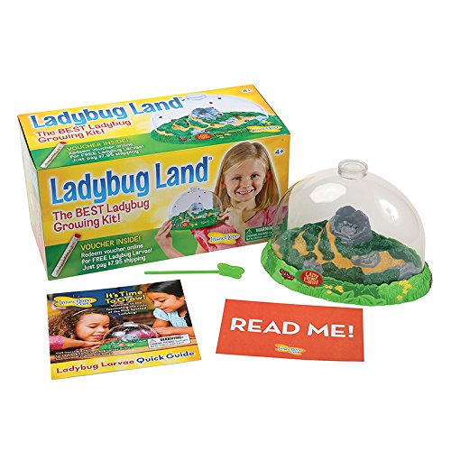 Insect Lore Bug Land Habitat – BigaMart