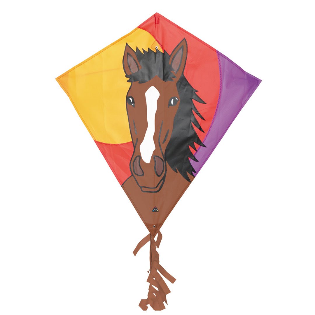 Eddy Bronco Diamond Kite – BigaMart