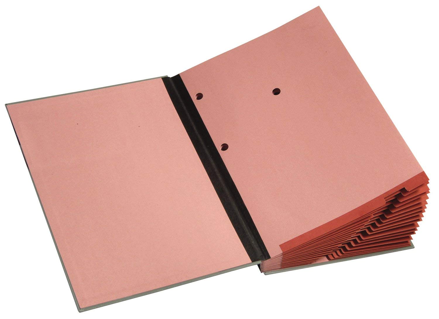 Elba 41403RO Signature Folder for DIN A4 PVC Red – BigaMart