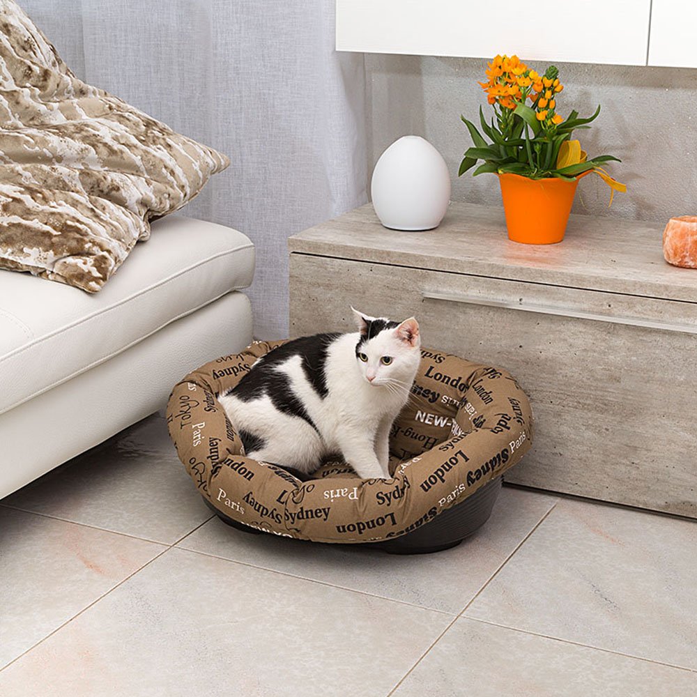 Ferplast 70224999ZP Sofa 4 Dog/Cat Bed Plastic with Removable Padded ...