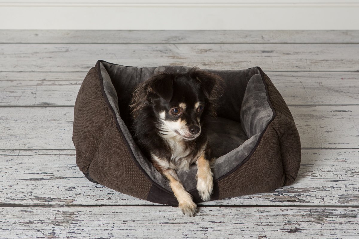 Scruffs Chester Box Bed (S) Graphite – BigaMart