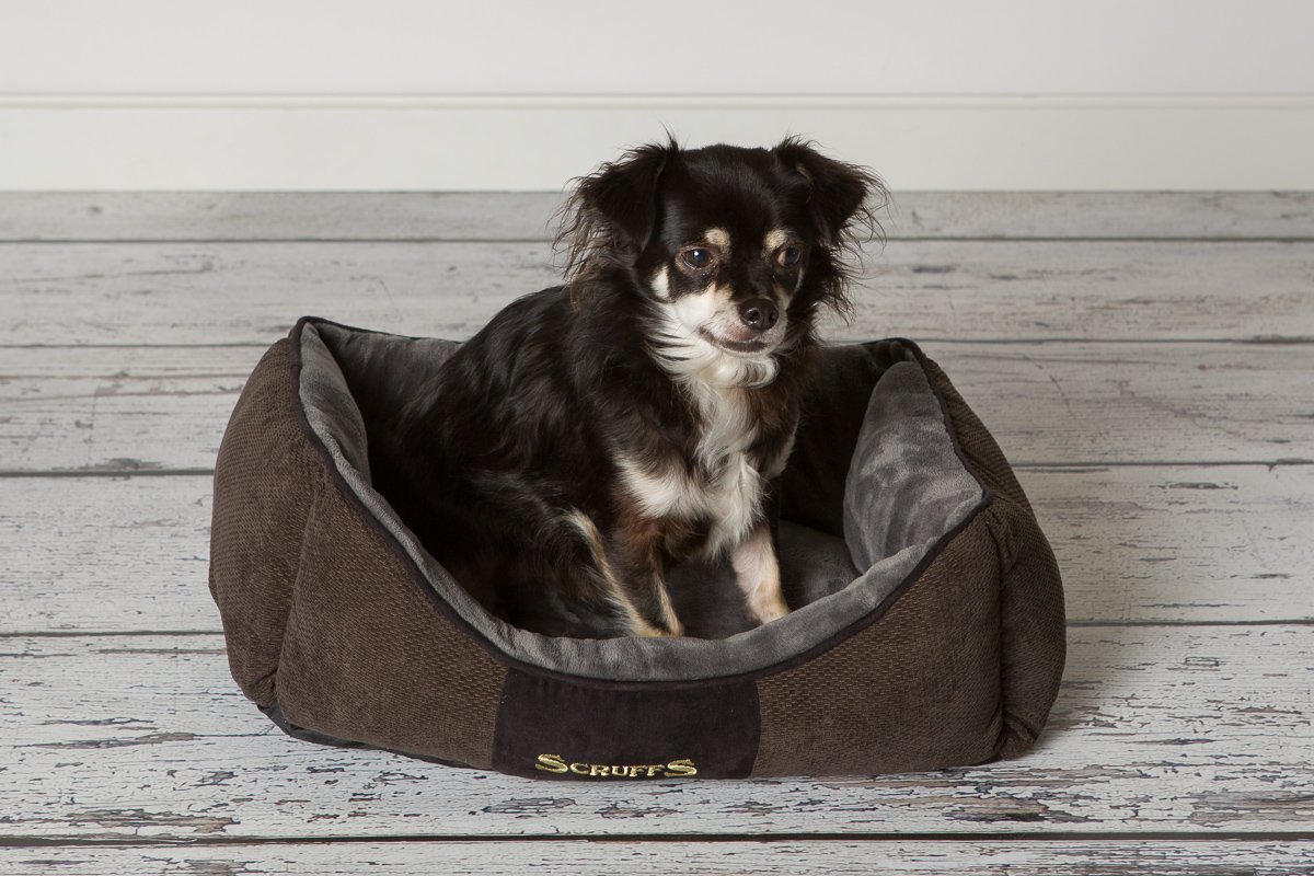 Scruffs Chester Box Bed (S) Graphite – BigaMart