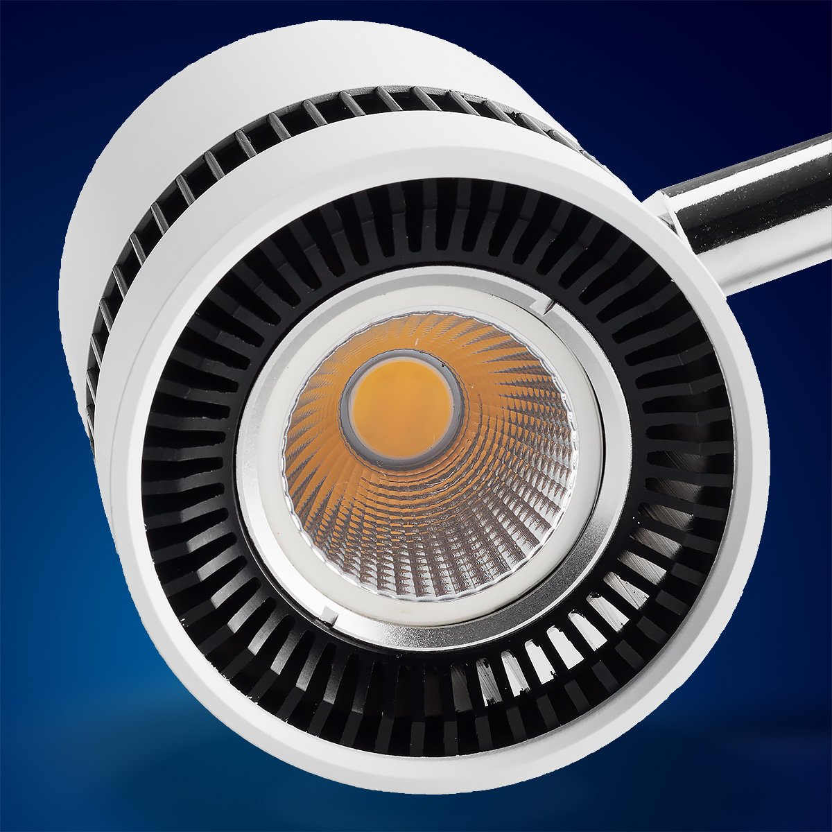 LED 3 Phase Spotlight 8W Daylight weissfür Rail System – BigaMart