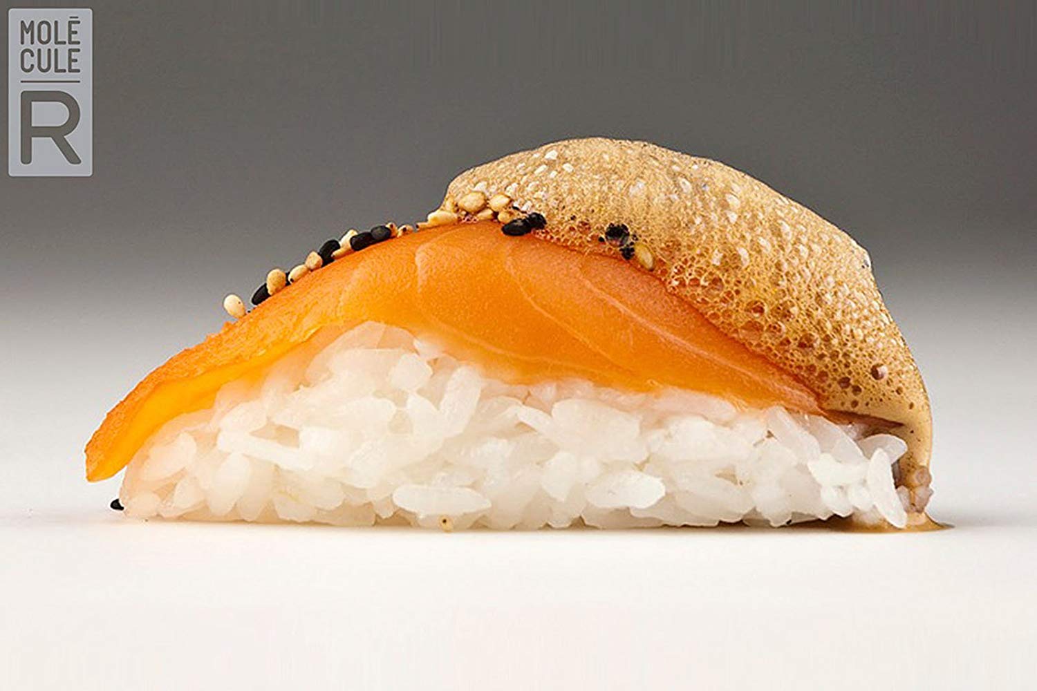 Molecule-R Cuisine R-Evolution Gastronomy Chemistry Educational Student ...