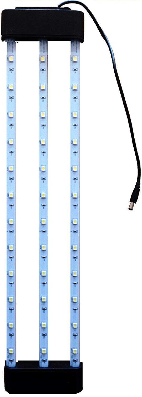 Interpet LED Bright White Upgrade for the Interpet Insight 64L Aquarium ...