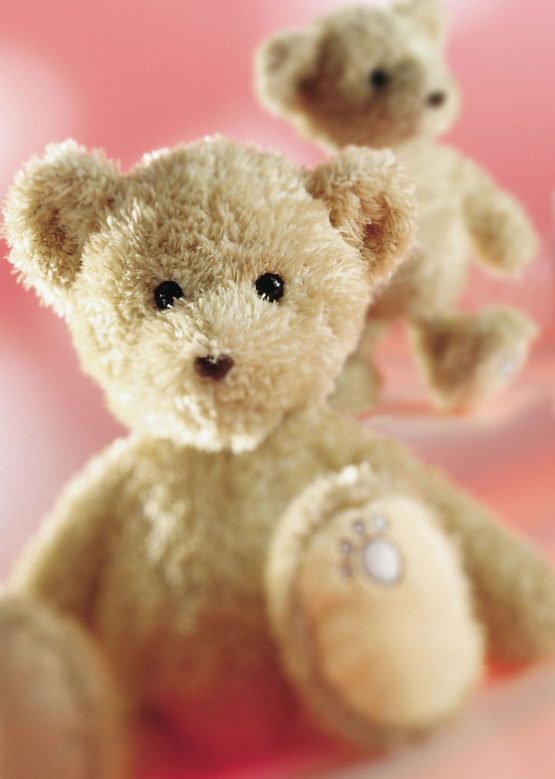 Rudolph Schaffer Luca Teddy Soft Toy (26 cm) – BigaMart