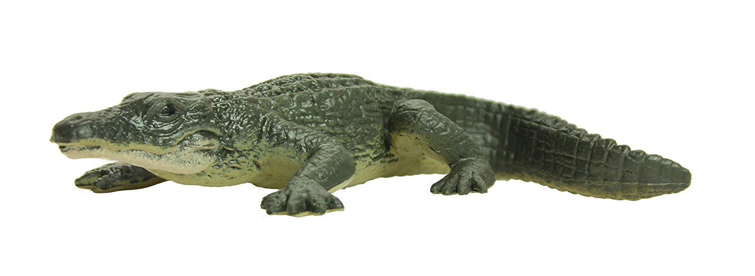 Toob -SF681804 River, Multi-Colour – BigaMart