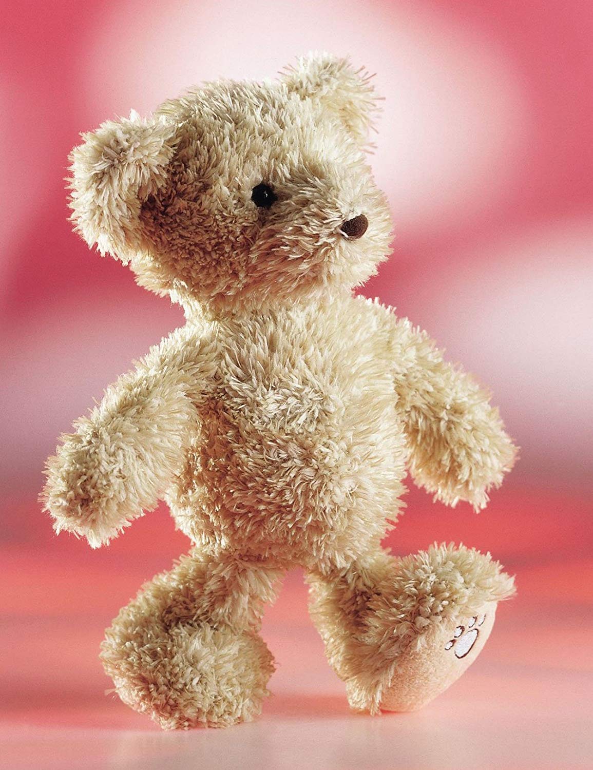 Rudolph Schaffer Luca Teddy Soft Toy (26 cm) – BigaMart