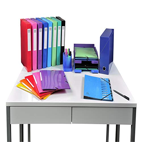 Exacompta Harmonika 12 Compartment Folder with Dividers – Assorted ...