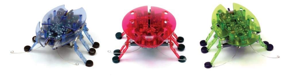 HEXBUG Beetle - BigaMart