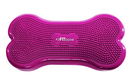 Ball Dynamics Fpkbone Razzle Berry K9 Fitbone Balance Training Device ...