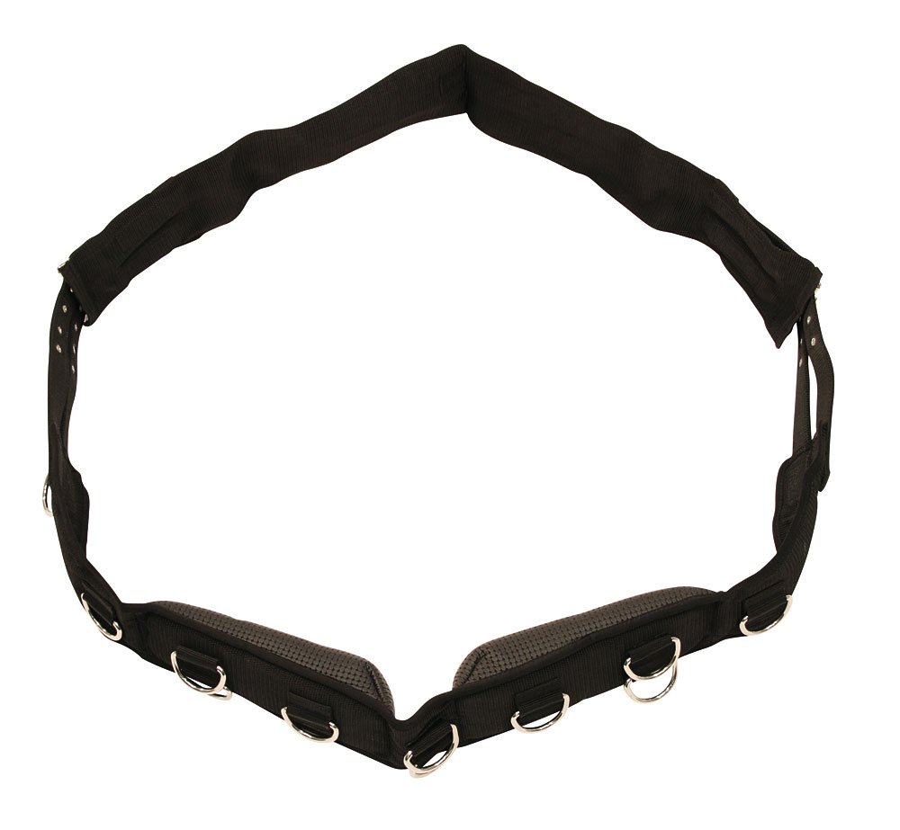 KERBL Lunging Roller with Leather Cushion for Warm-Blooded Horses ...