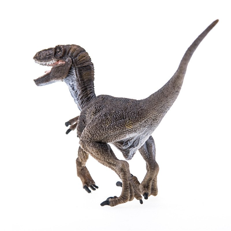 Schleich Velociraptor Playset (Random colors/models) – BigaMart