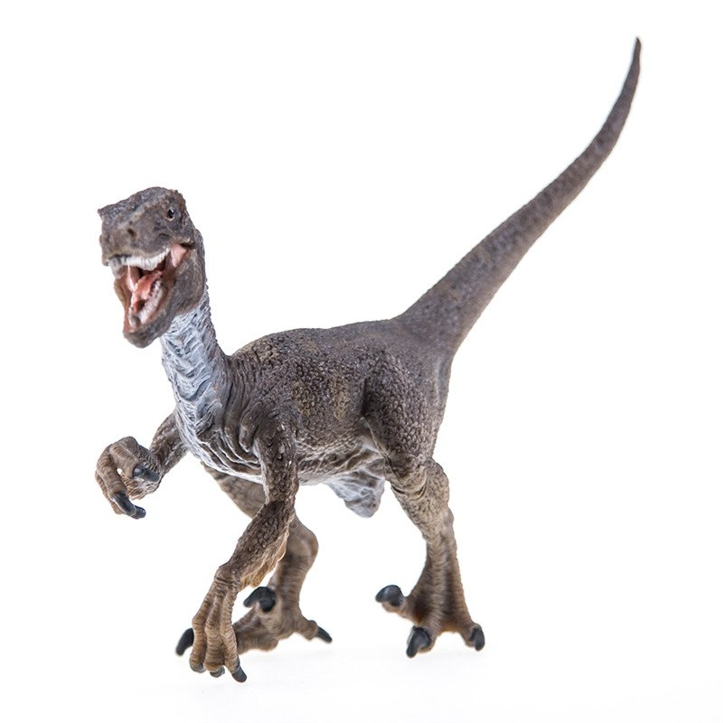 Schleich Velociraptor Playset (Random colors/models) – BigaMart