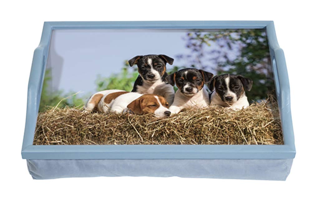 Aidapt Wooden Lap Tray with Cushion, Puppies – BigaMart