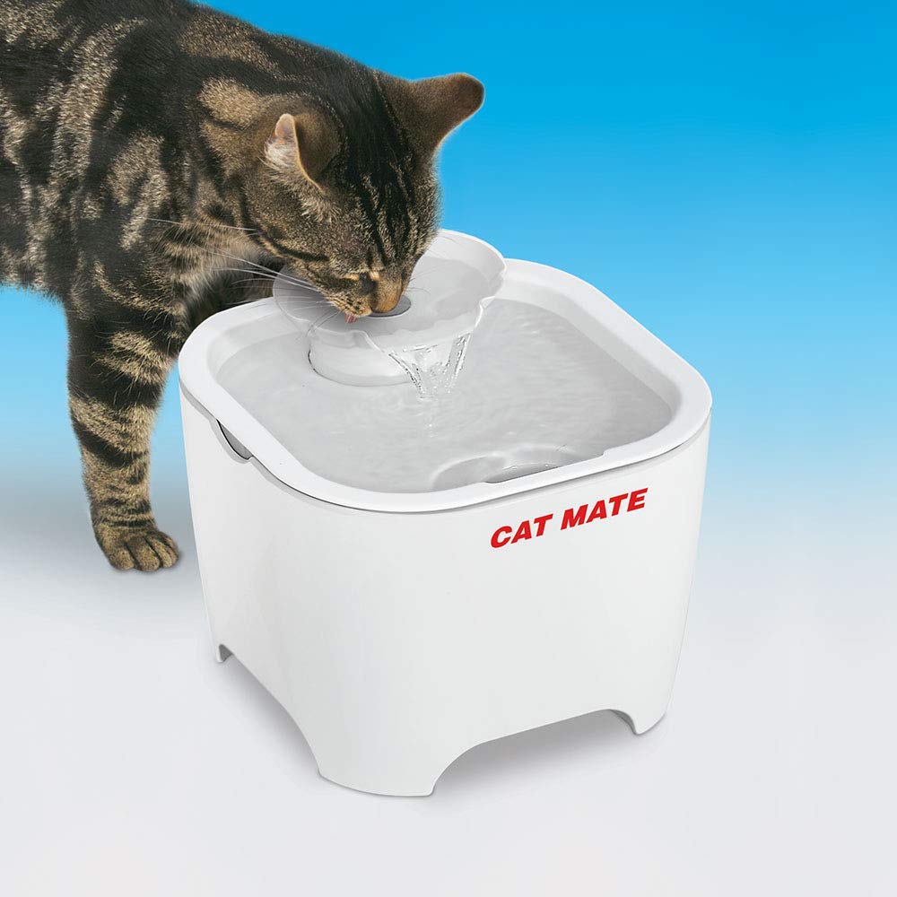 Cat Mate Shell Pet Water Fountain | For Cats and Small Dogs Water ...