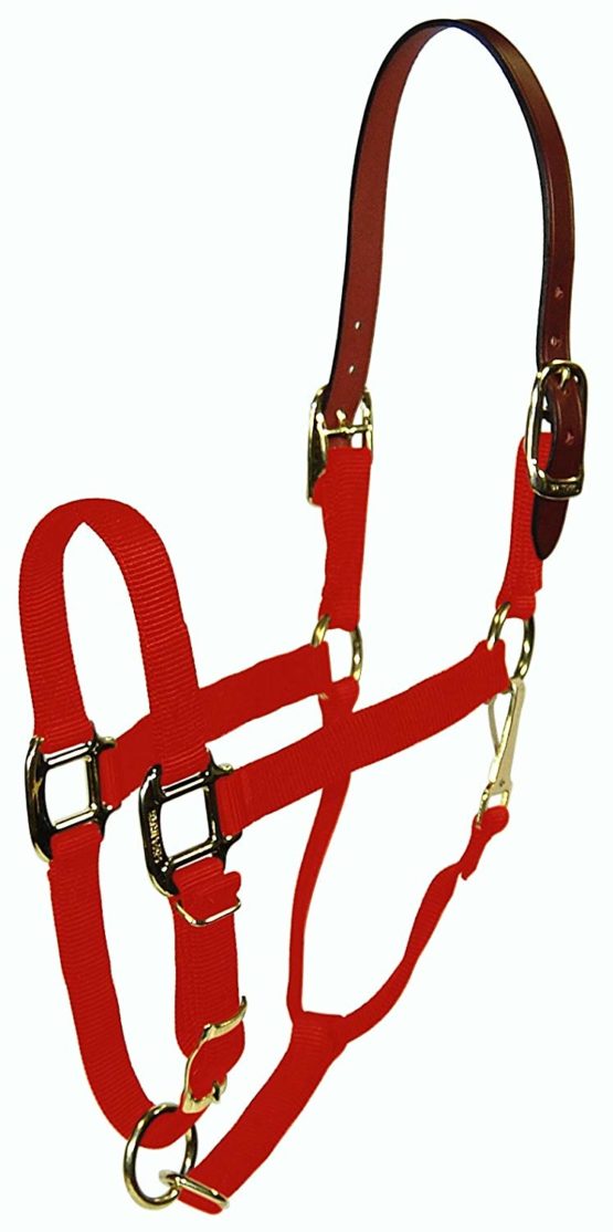 Hamilton Nylon Adjustable Quality 1-Inch Halter with Leather Breakaway ...