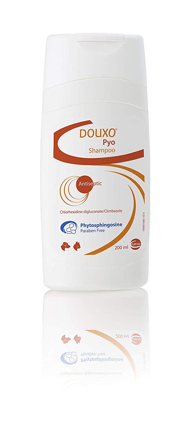 Douxo Pyo, vet recommended antibacterial/antifungal dog/cat shampoo ...