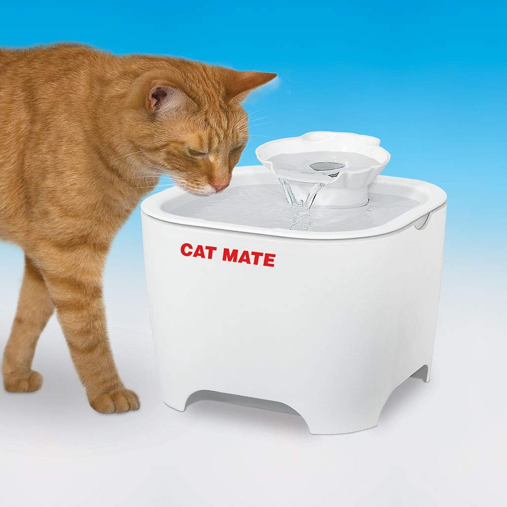 Cat Mate Shell Pet Water Fountain | For Cats and Small Dogs Water ...