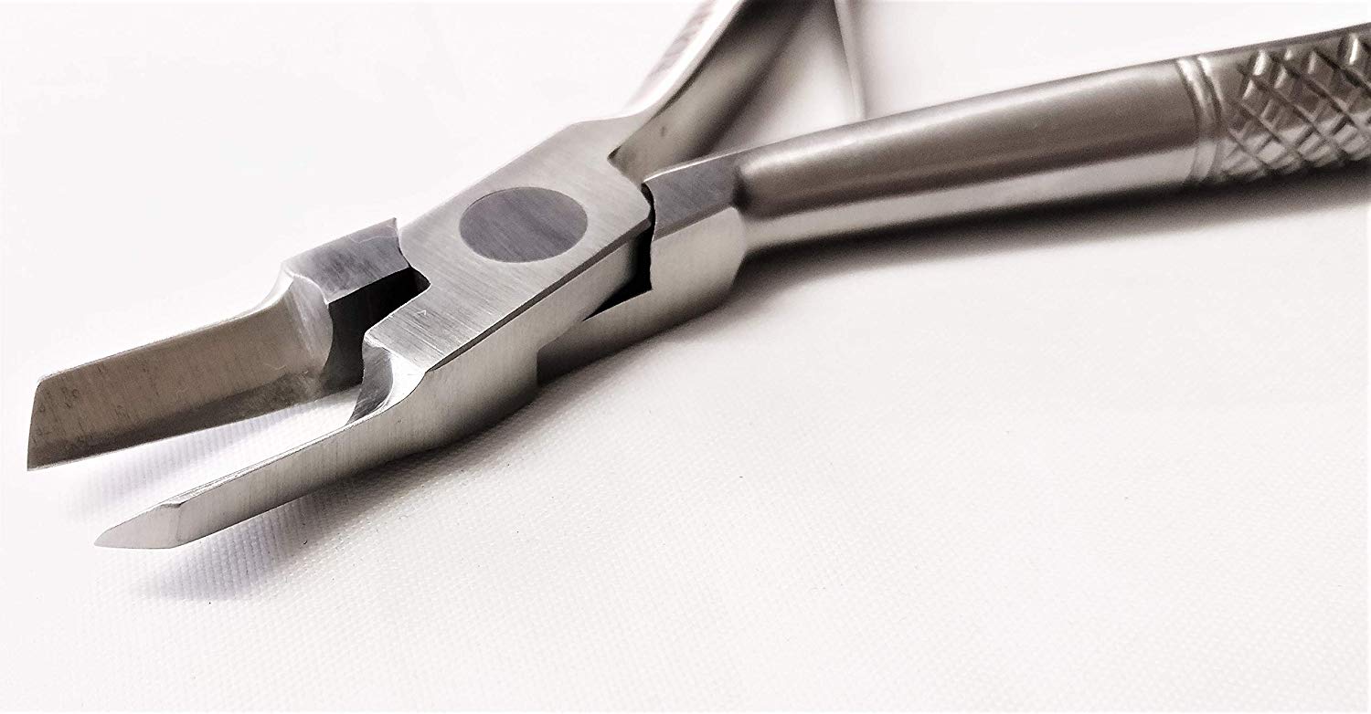 EQUINOX Pig Teeth Cutter Thin Jaws Rodent Teeth Incisor Cutter, Farm ...