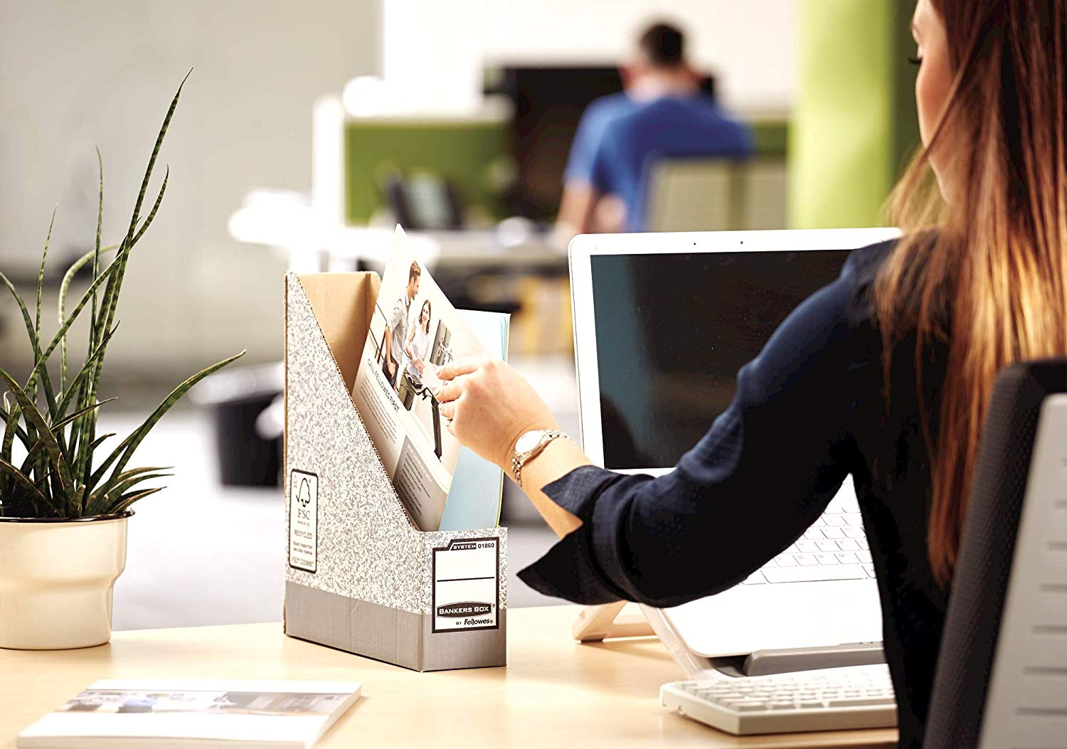 Fellowes R-Kive System A4 Magazine File – BigaMart