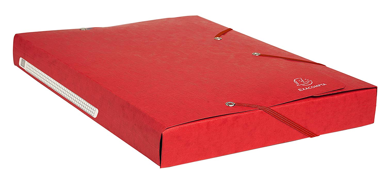 Exacompta 55955E Manila Cardboard 3 Flaps Label 600 g DIN A4 ...