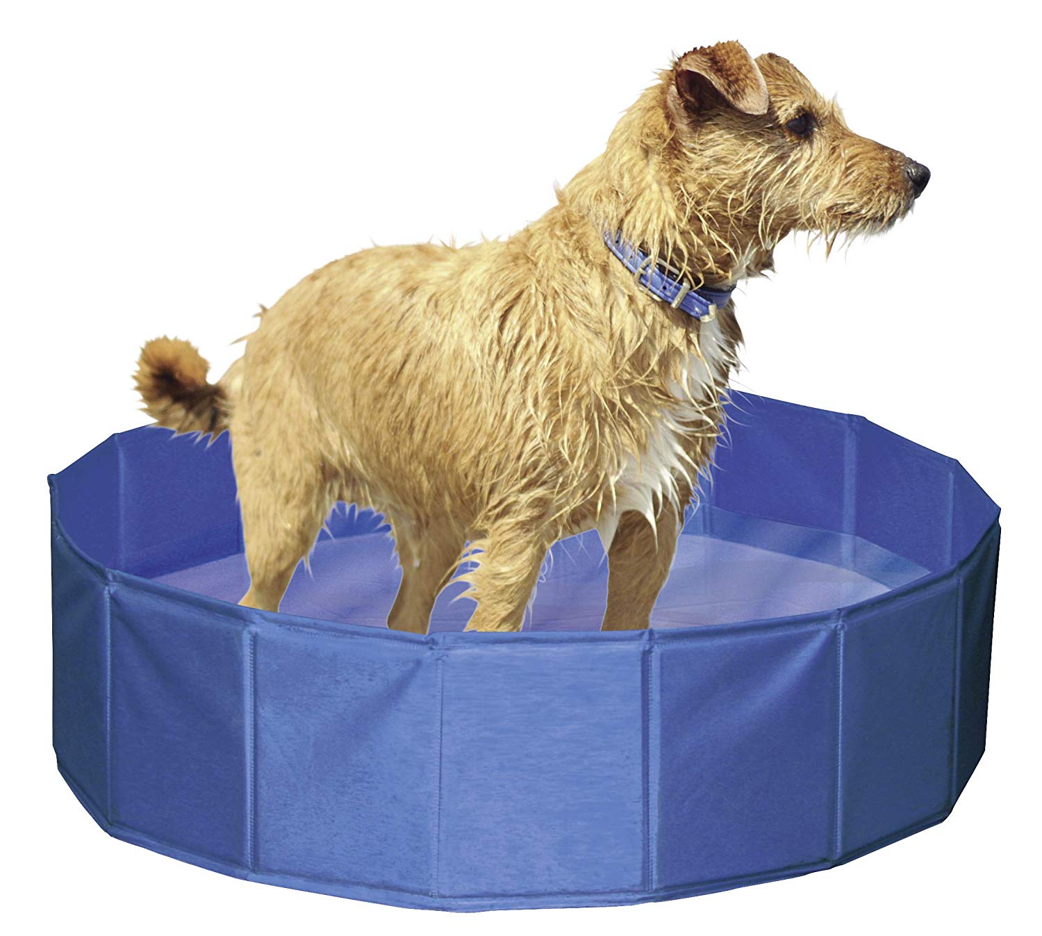 Kerbl Dog Pool 160 x 30cm – BigaMart