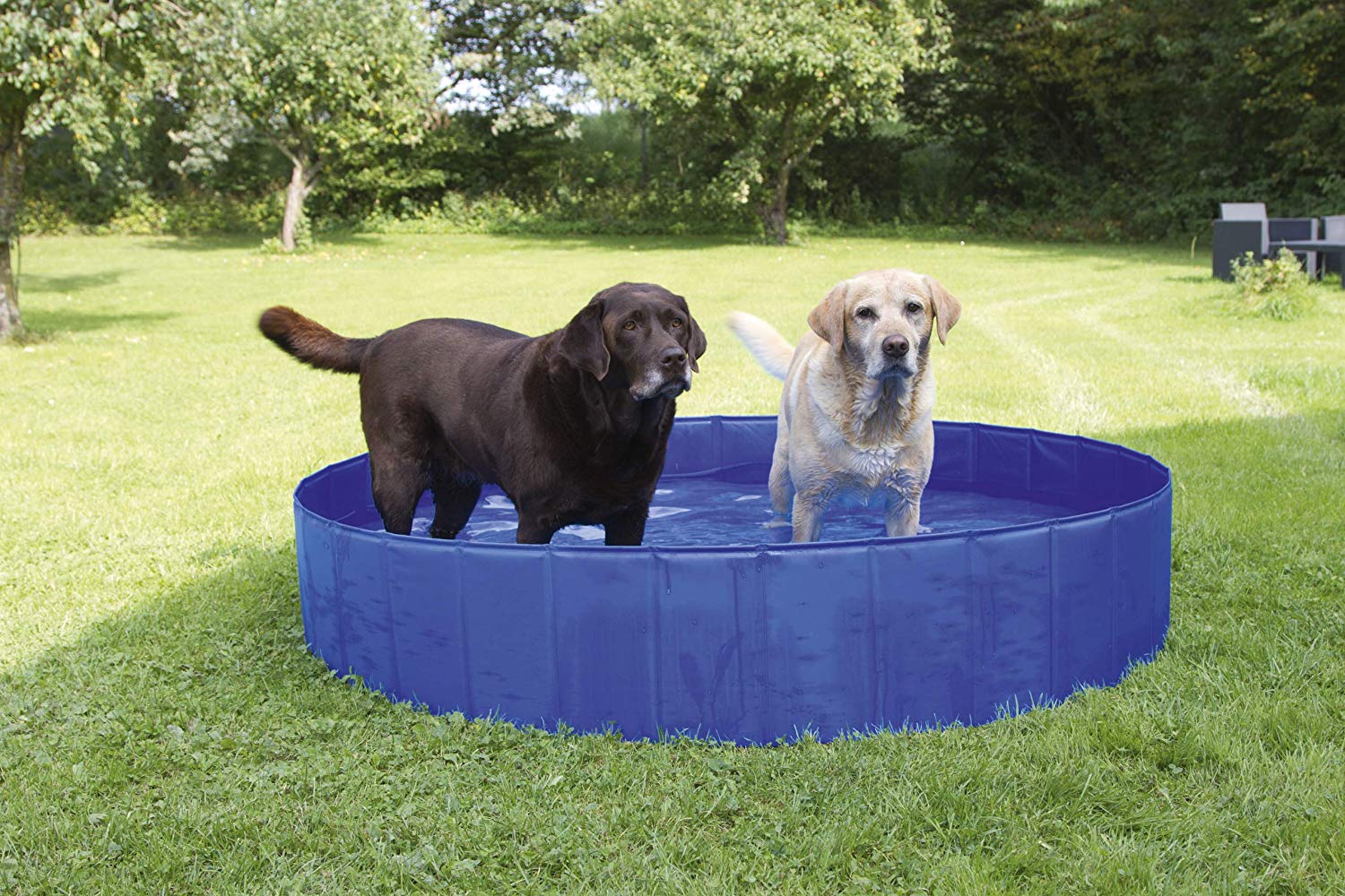 Kerbl Dog Pool 160 x 30cm – BigaMart