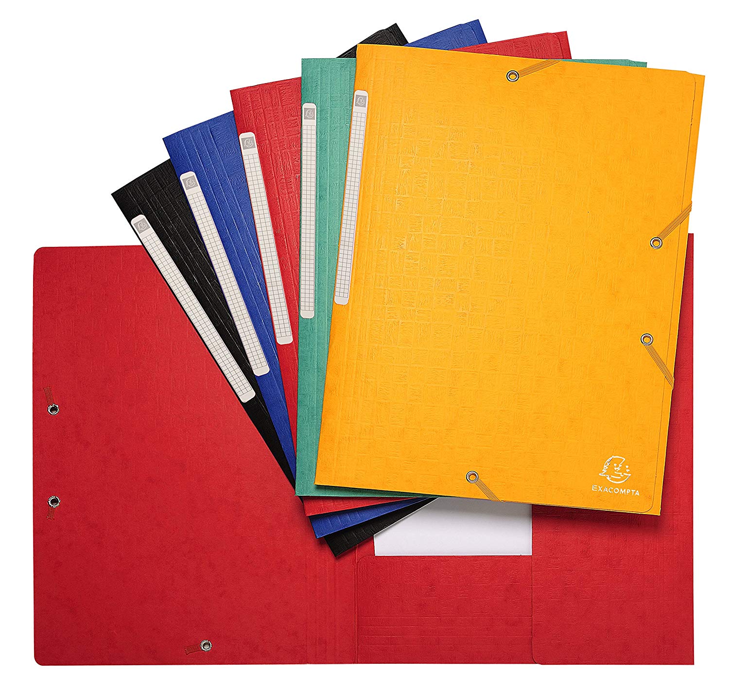 Exacompta 55955E Manila Cardboard 3 Flaps Label 600 g DIN A4 ...