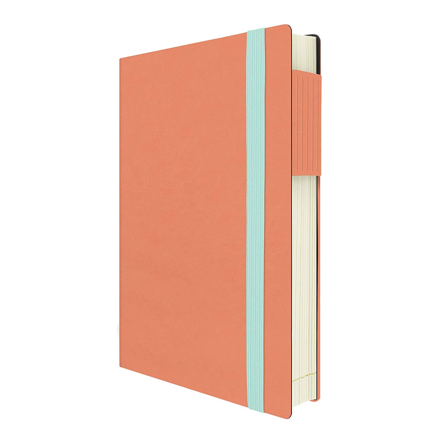 Medium Daily Diary 16 Month 2019/2020 – Salmon – BigaMart