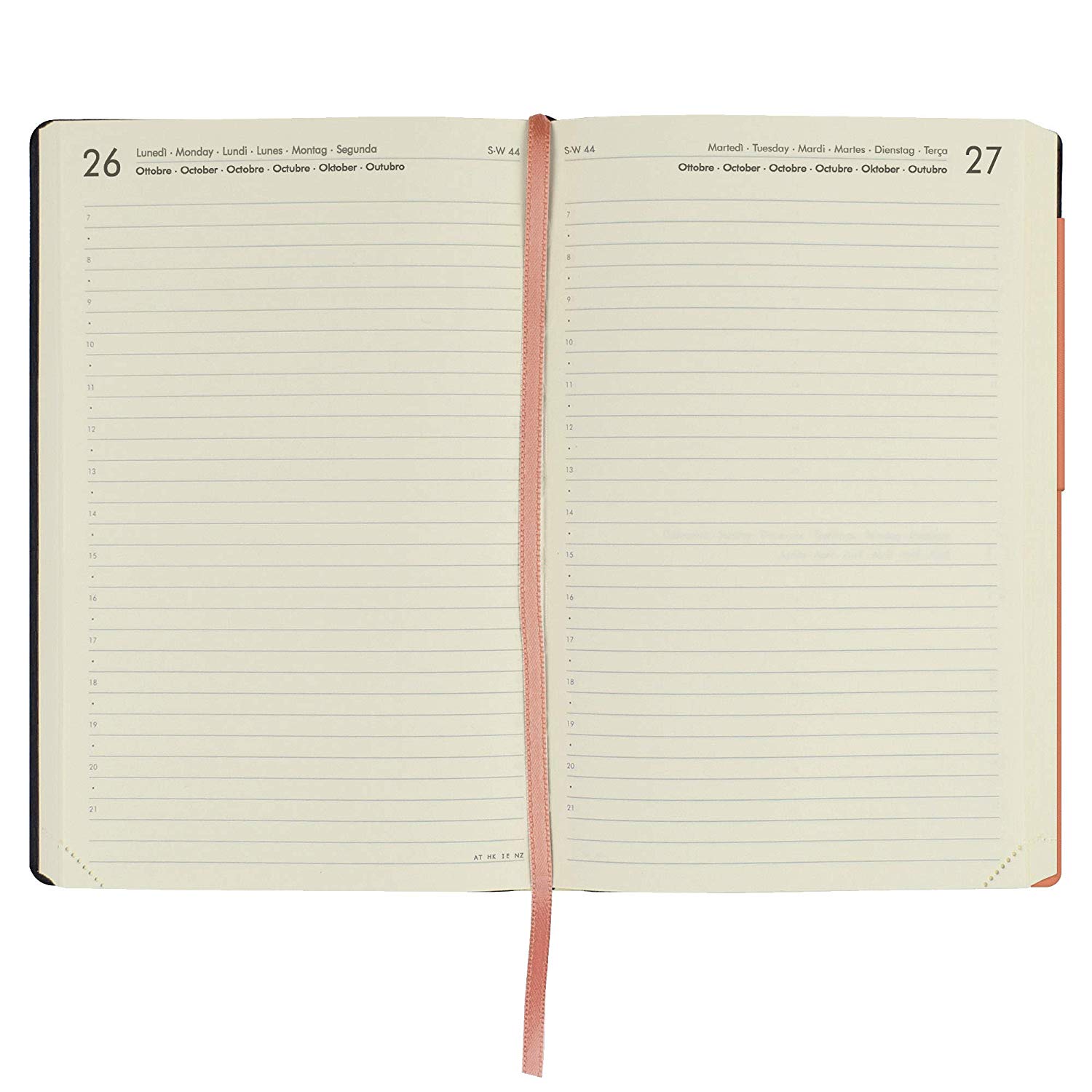 Medium Daily Diary 16 Month 2019/2020 – Salmon – BigaMart