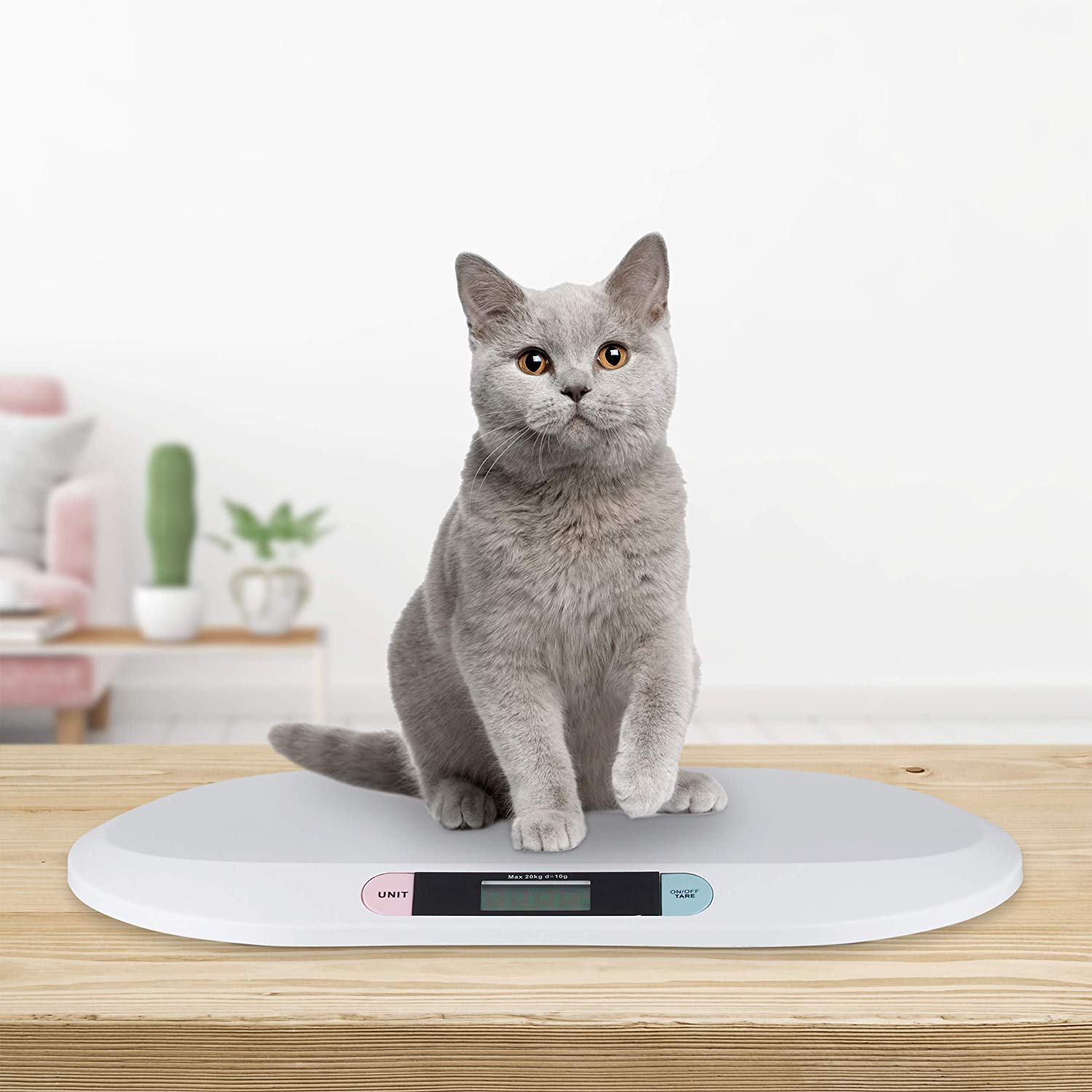 little Choice Digital Baby Scales for Infants up to 20 kg ...