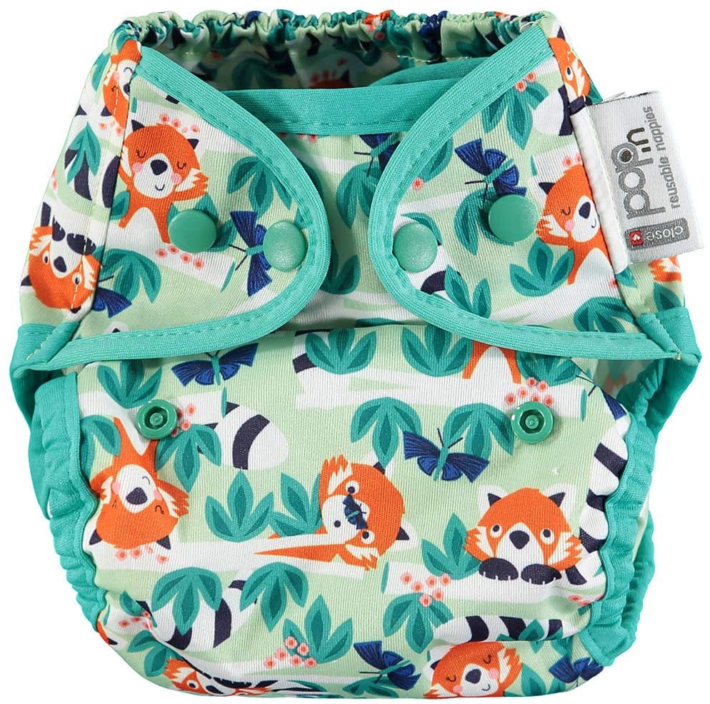 Close Pop-in Single Eco-Friendly Reusable Cloth Nappies Birth to Potty ...