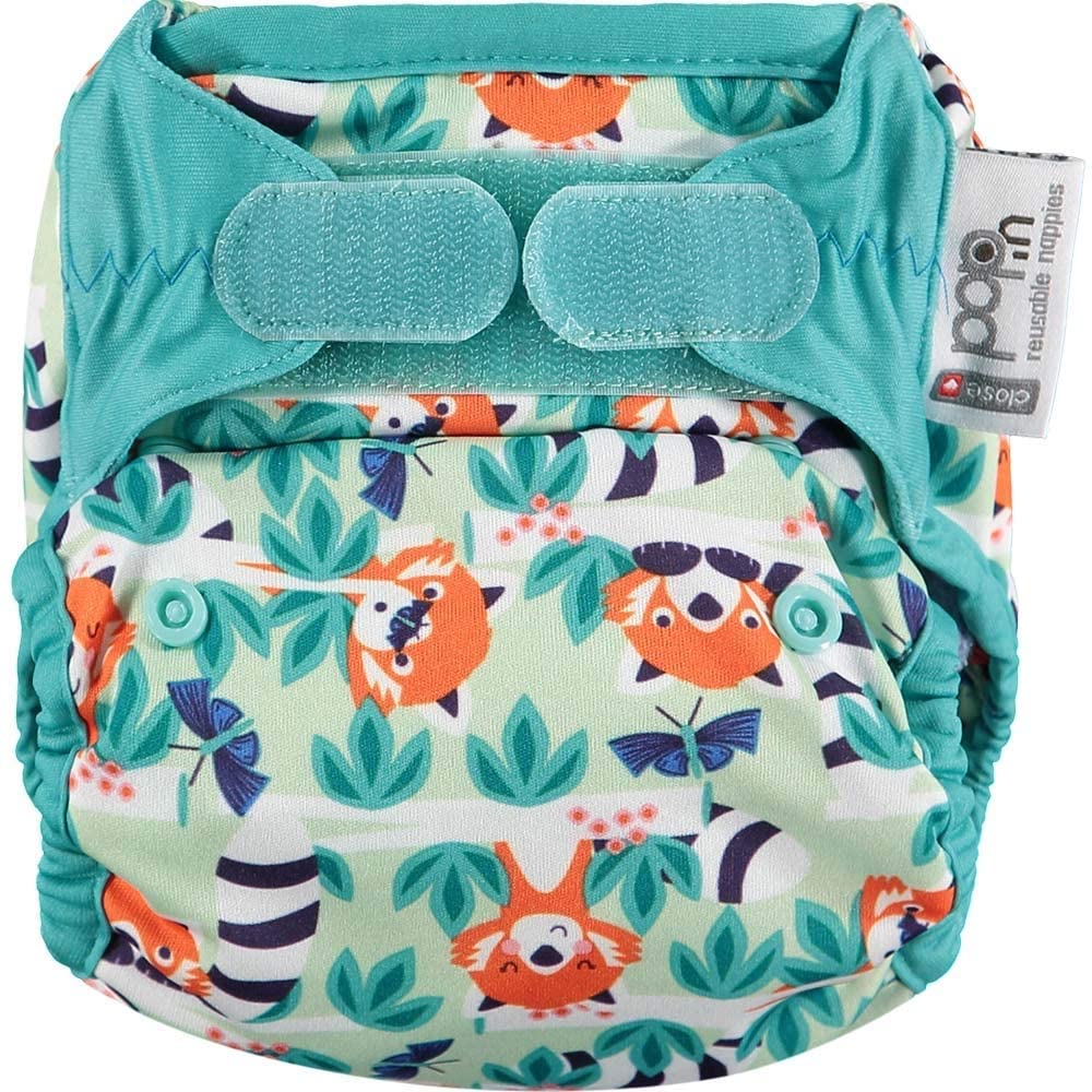 Close Pop-in Single Eco-Friendly Reusable Cloth Nappies Birth to Potty ...
