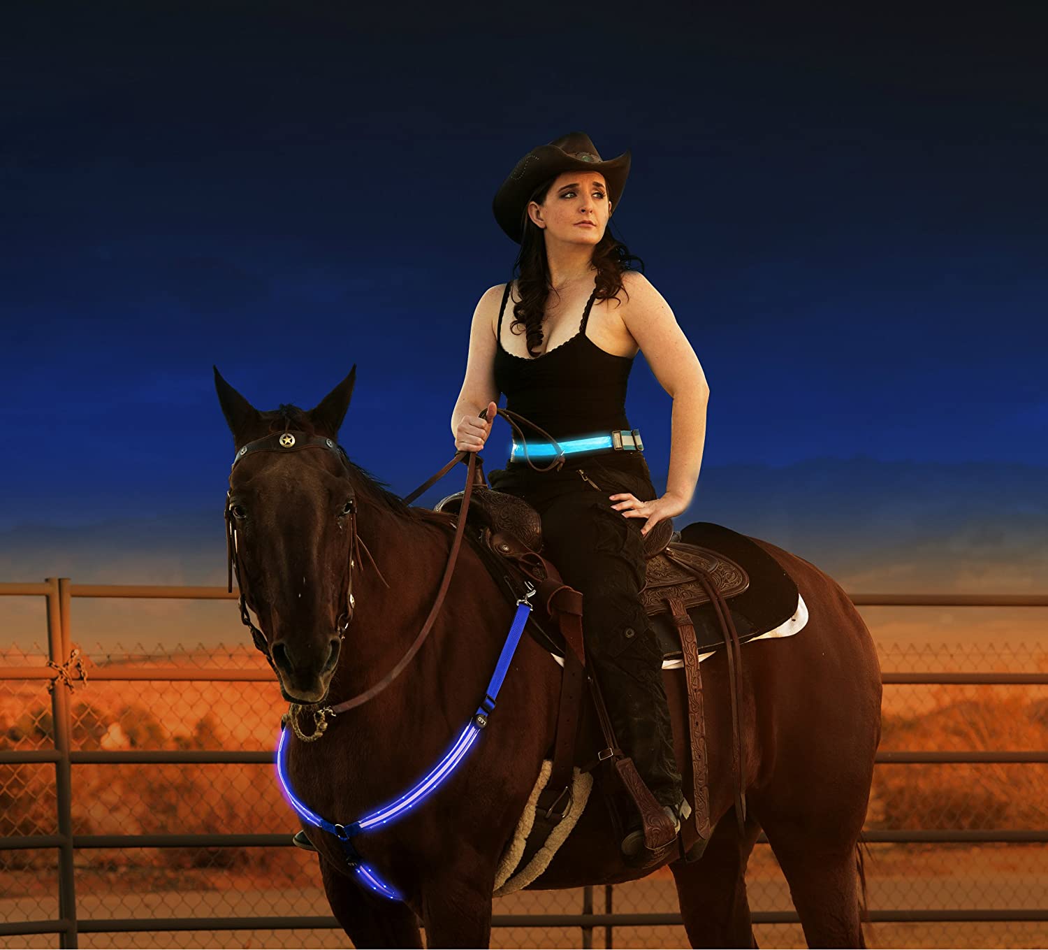 LED Horse Breastplate Collar – USB Rechargeable – Best High Visibility ...