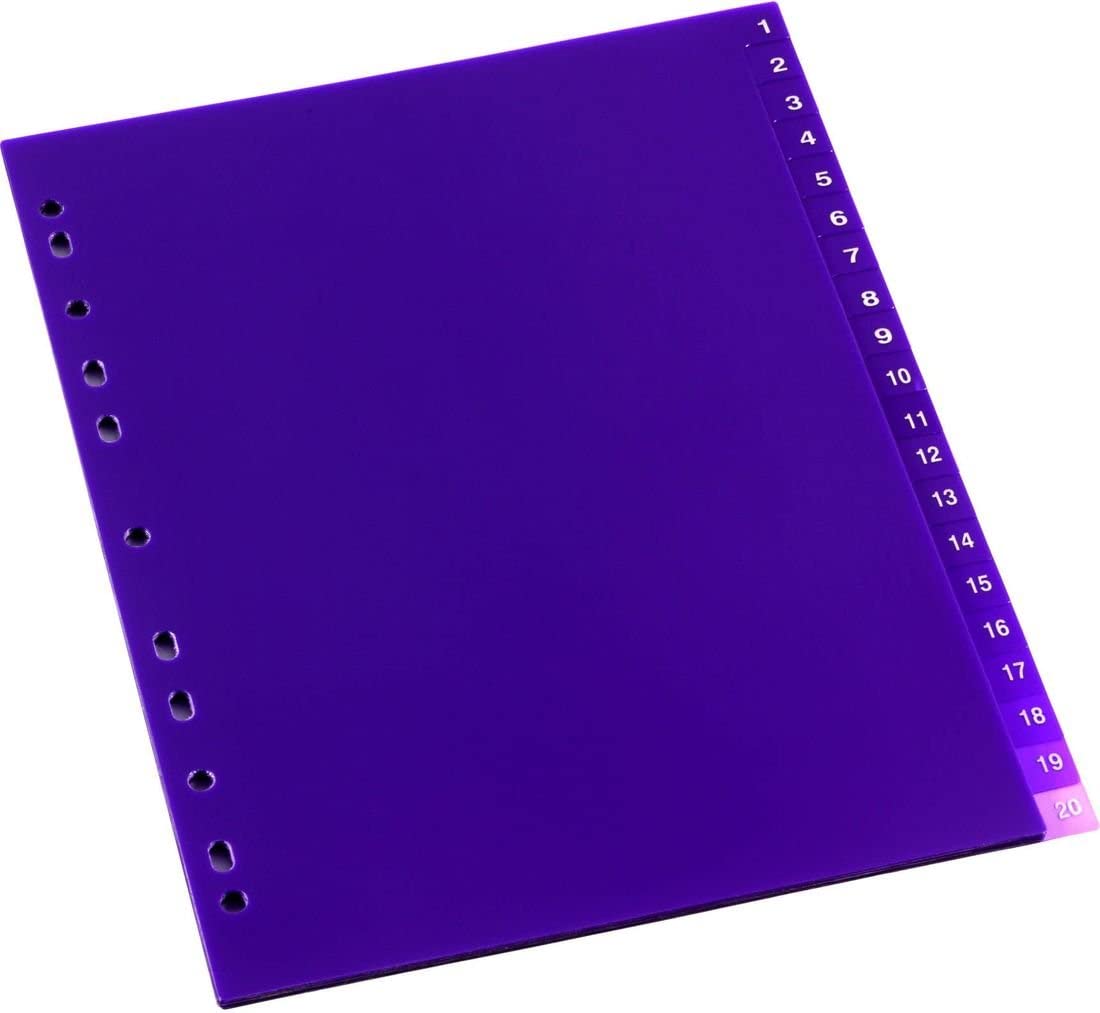 Rexel 1-20 Index Translucent Card – BigaMart