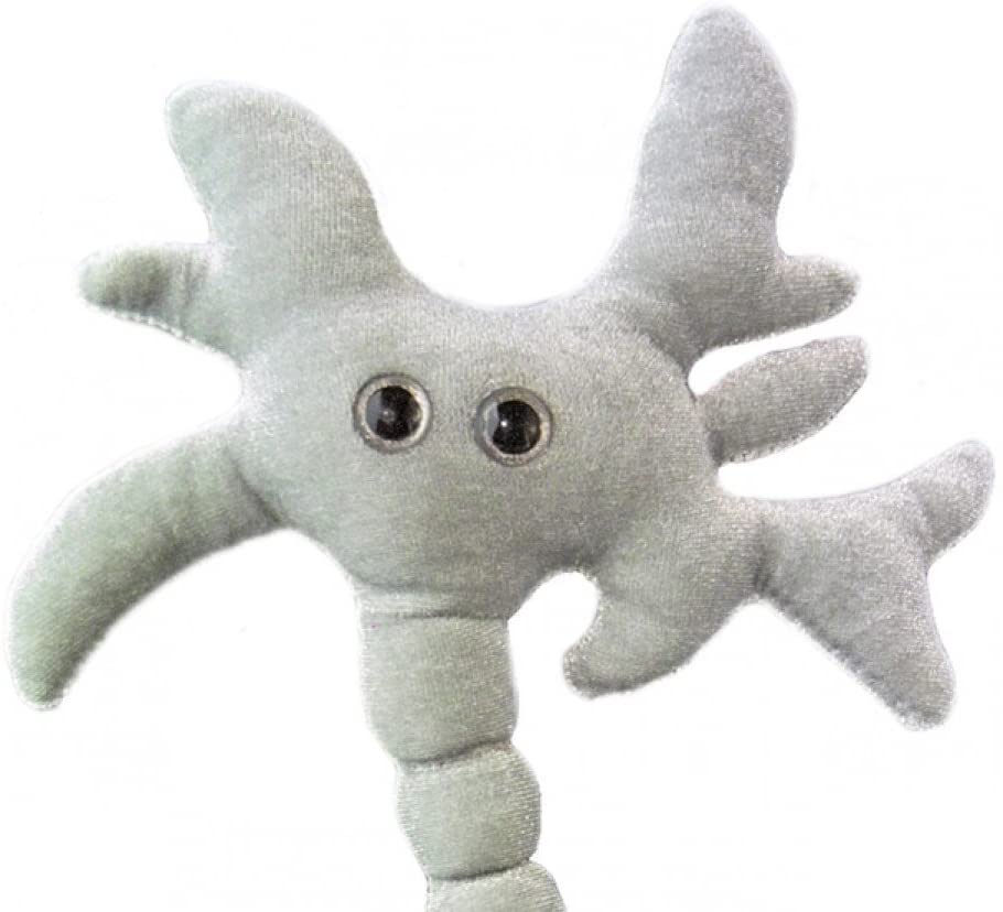 Giant Microbes – Brain Cell (Neuron) – BigaMart