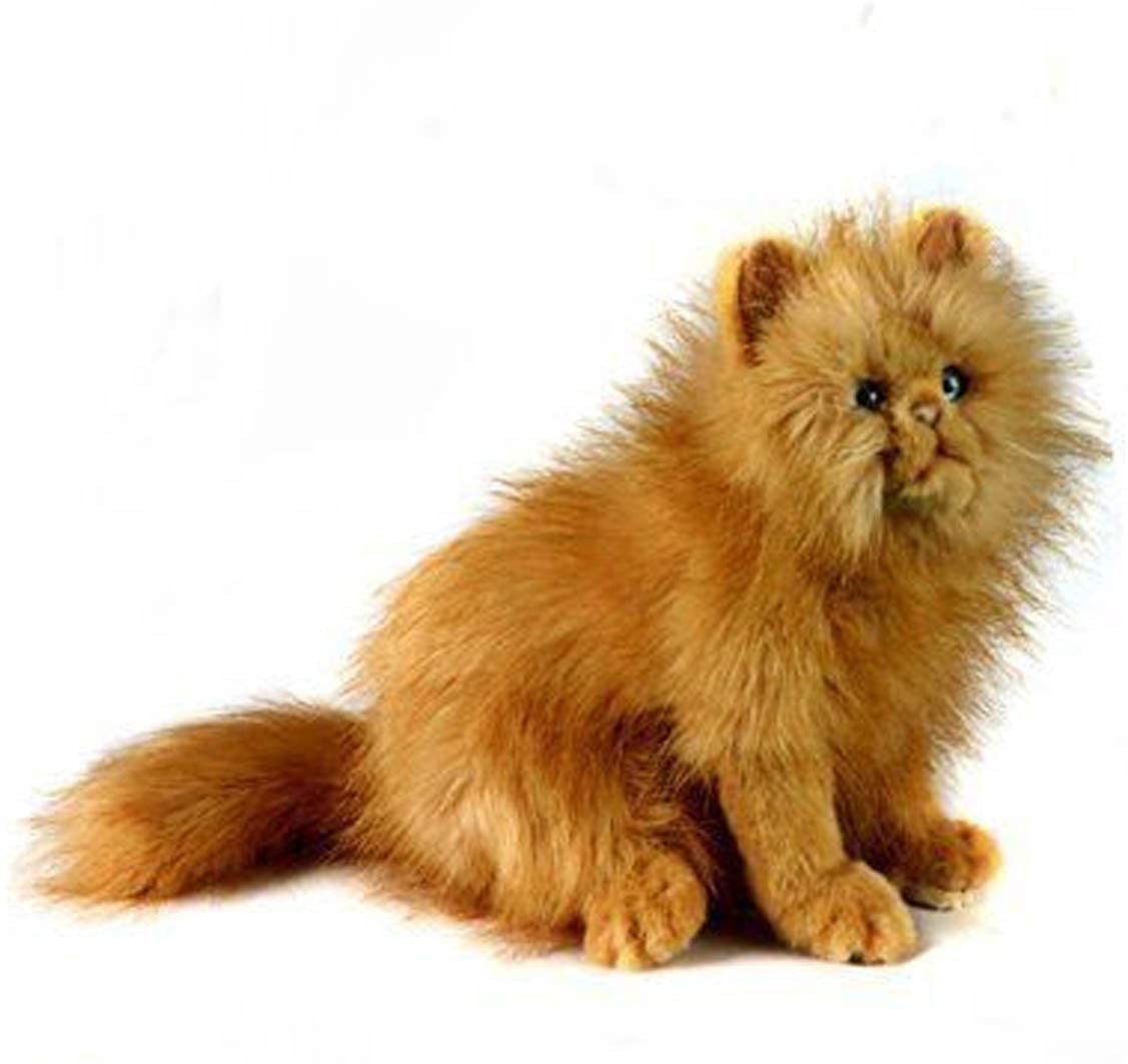Red/Ginger Cat Plush Soft Toy by Hansa. Red Persian Type. 30cm. 4223 ...