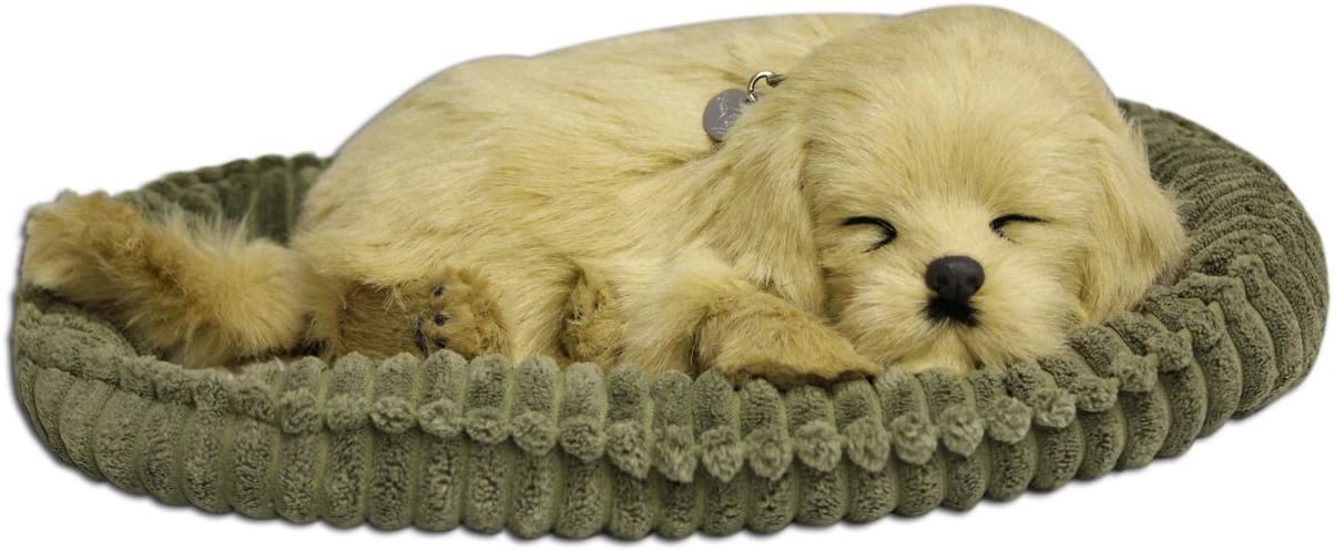 Perfect Petzzz – 4908 – Plush – Dog Golden Retriever – BigaMart