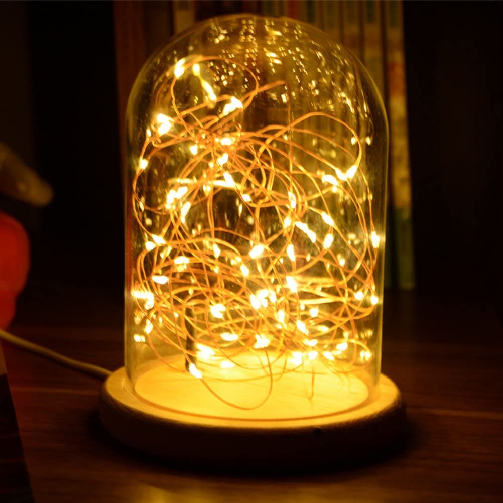 LEDMOMO Glass Dome Lights, Dome Cloche LED Night Light Table Lamp USB ...