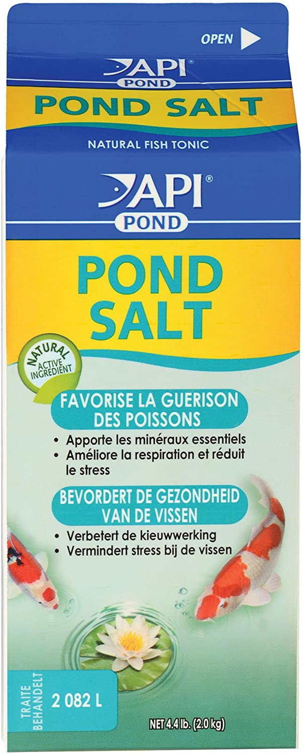 API POND SALT Pond Water Salt 2 Kg Container – BigaMart